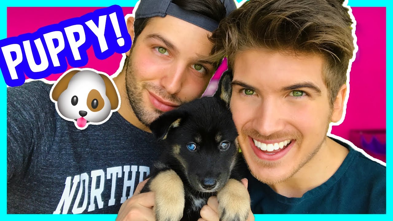 Family brings home an energetic and cute new puppy