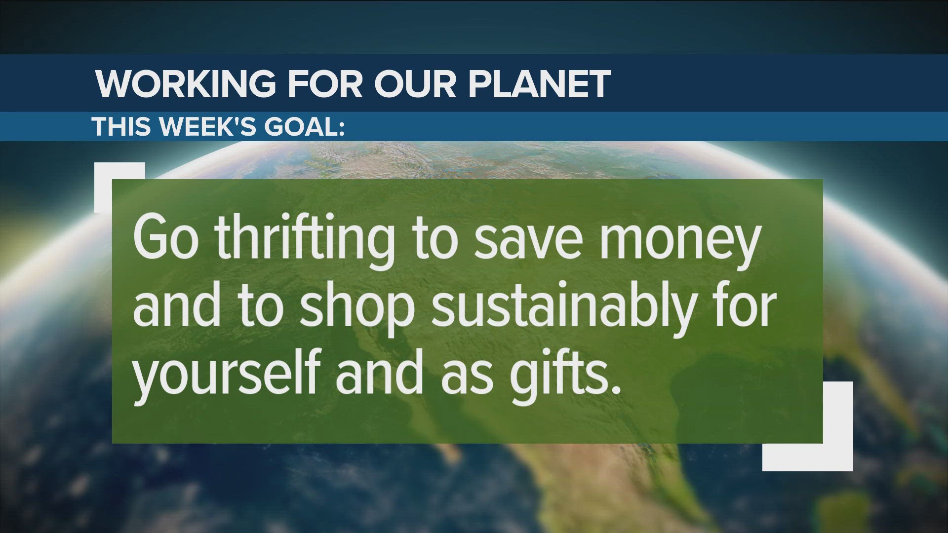 Recycling for cash: how to earn money while helping the planet