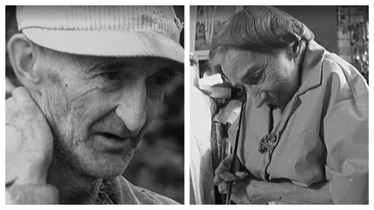 Known for forging wife Maud's artwork, Everett Lewis's originals up for ...