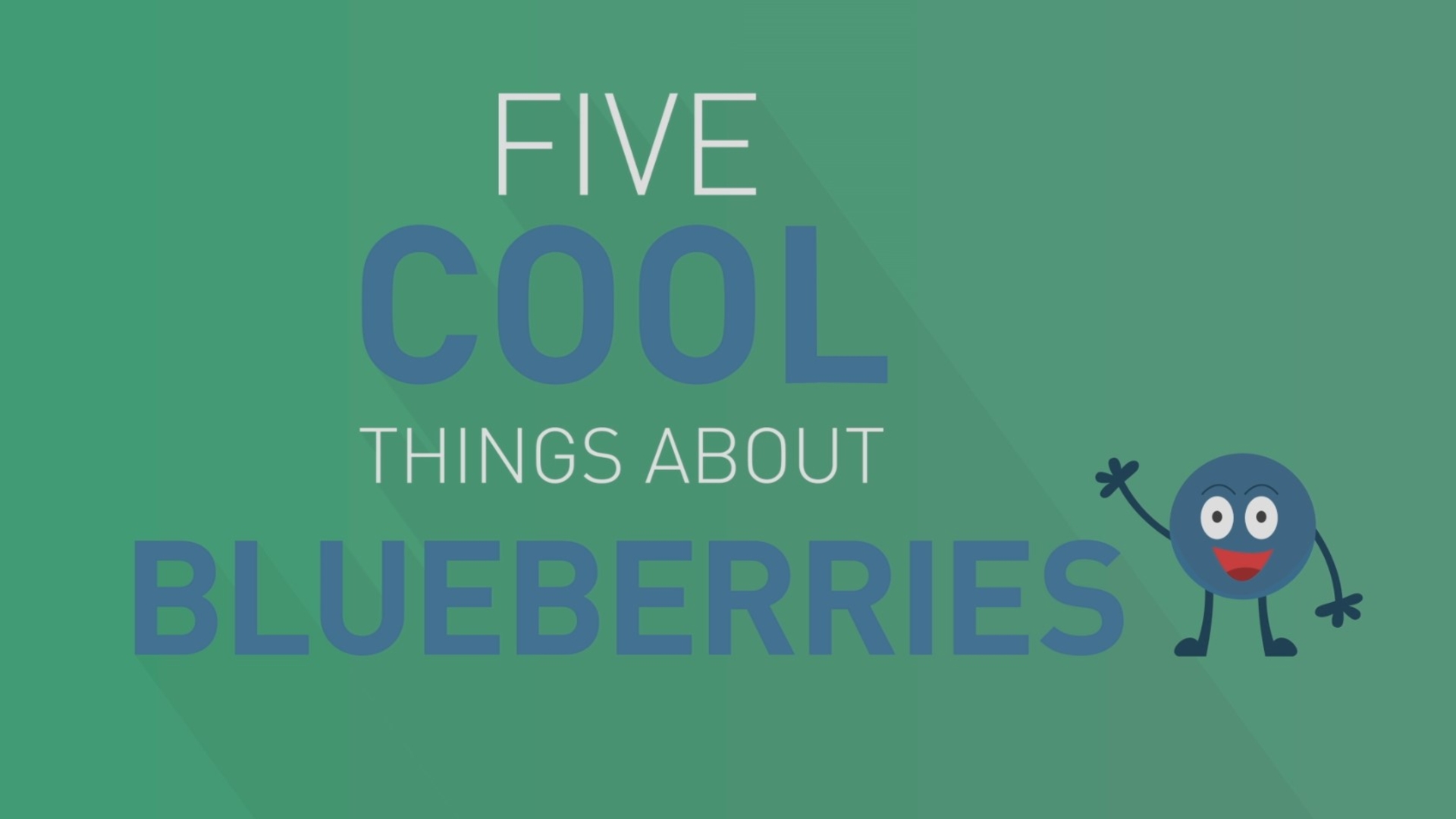 Five fun facts about blueberries