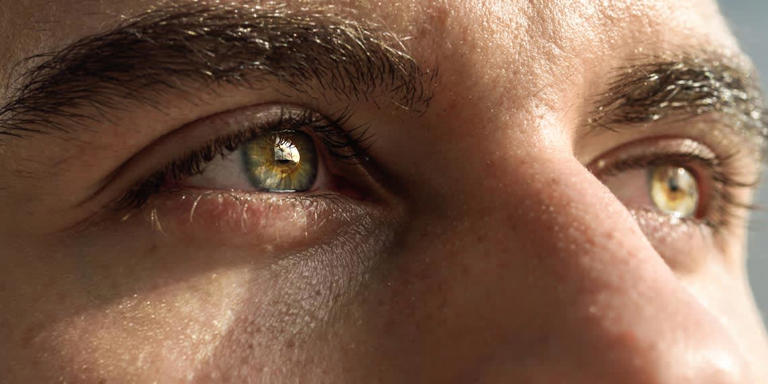 Pattern glare test can be used to identify individuals with schizotypy ...