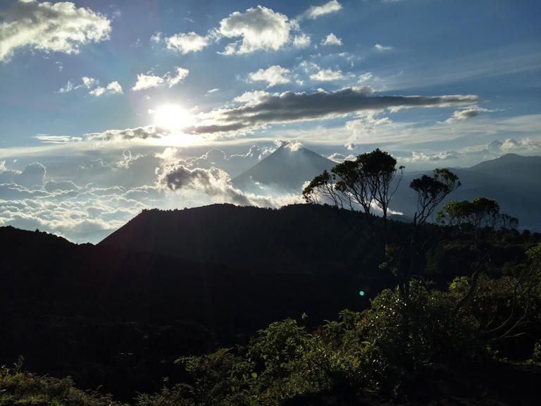 The Thrill of the Quest