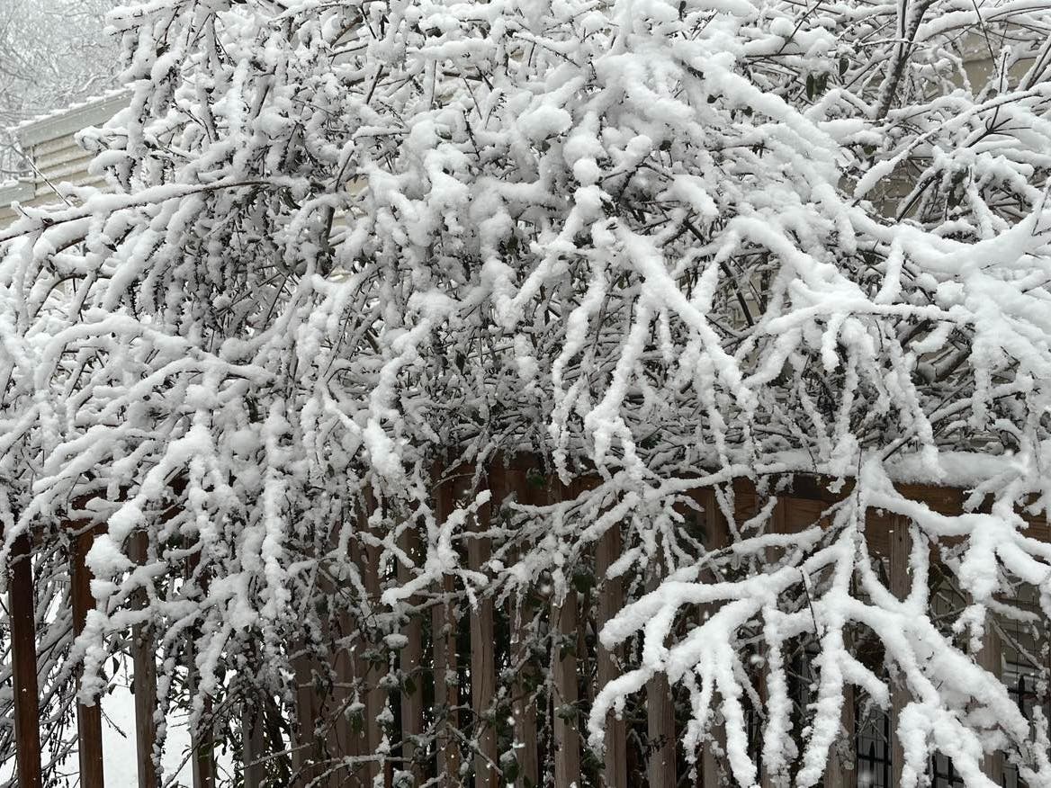 Updated LI Snow Timeline: What To Expect, When, And How Much