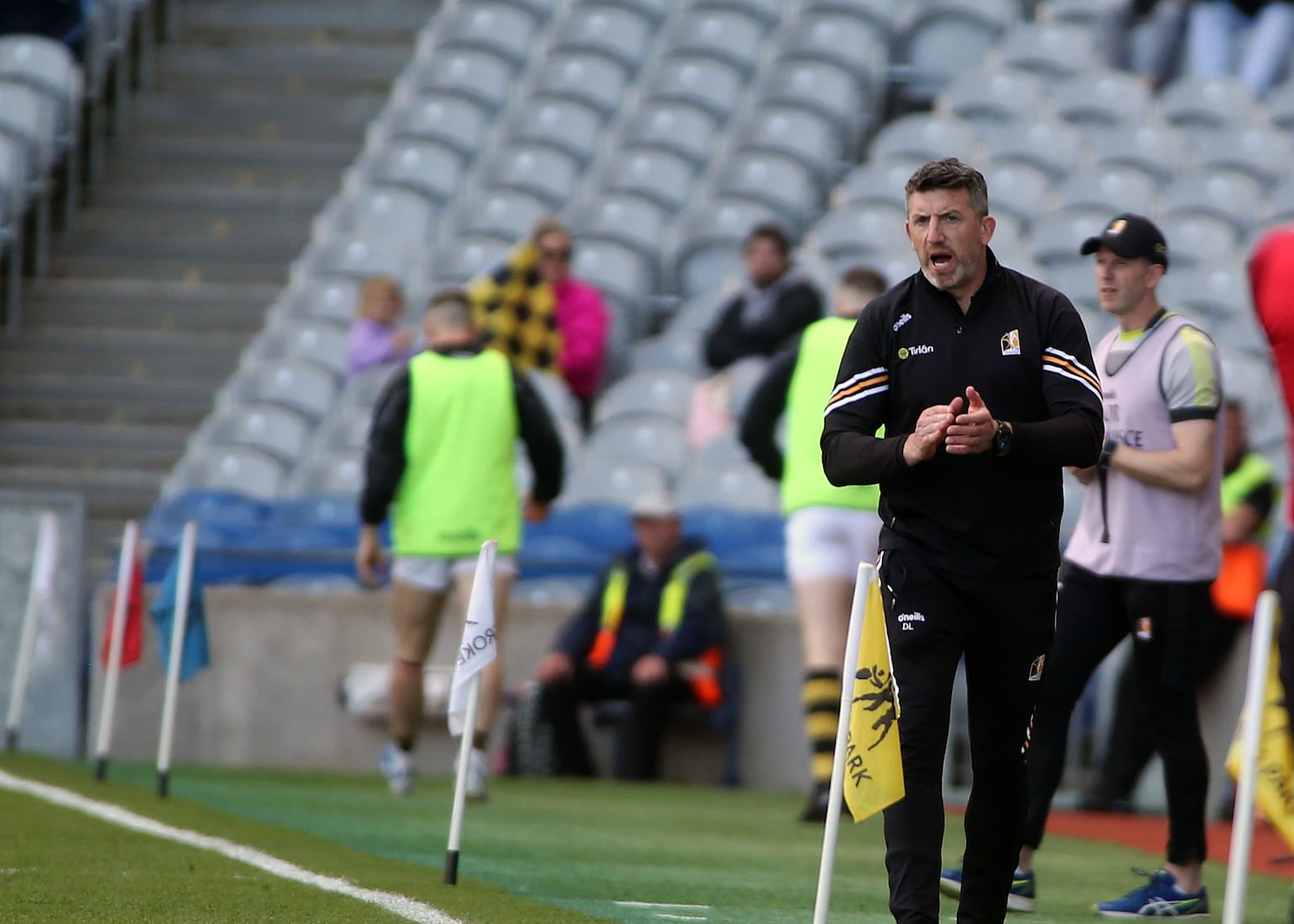 Derek Lyng can look to Leinster and All-Ireland wins over Galway to ...