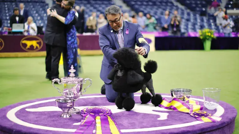 Westminster Dog Show prize money: How much do the winners make in 2025?