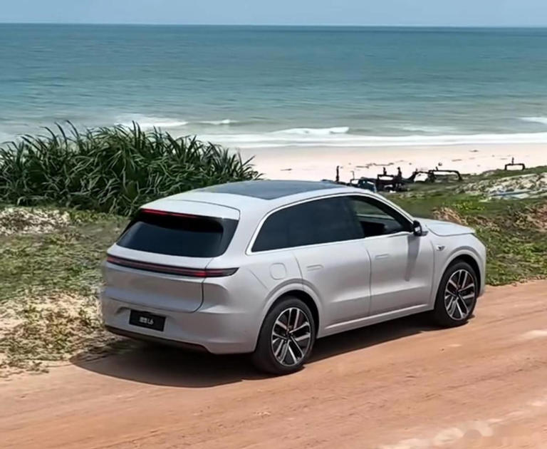 特斯拉Model Y对战理想L6，30万预算你究竟该选谁？