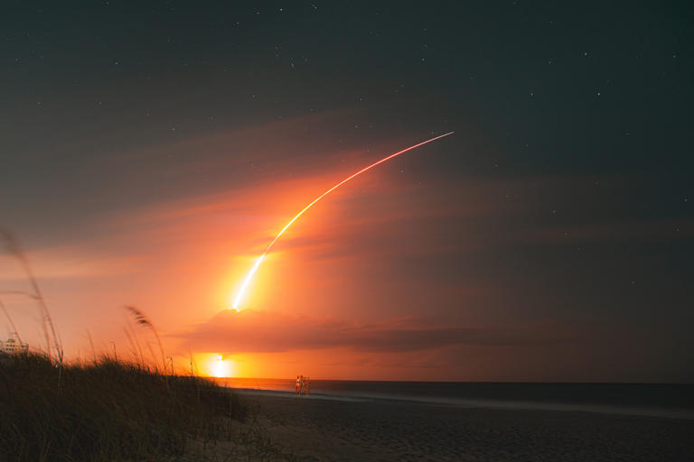 How Much Money Did SpaceX Make in 2024? How Much Money Did SpaceX Make in 2024?