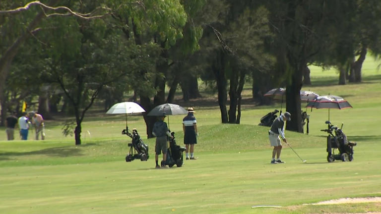 Claims popular Sydney golf course is being considered as new cemetery site