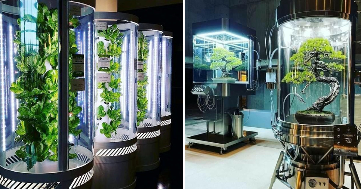 30 Futuristic Plant-Growing Pots of the Future