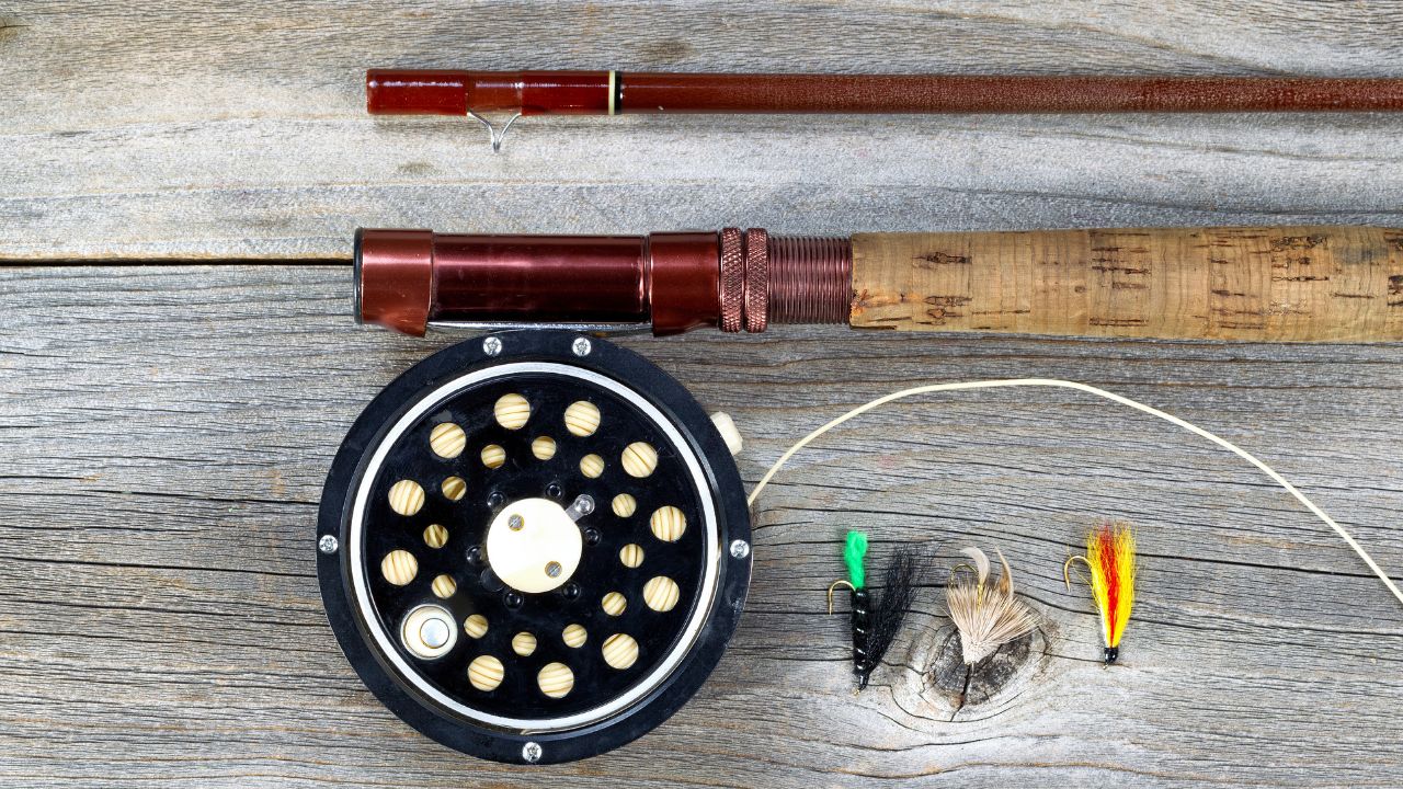 Fly Rods 101: Everything You Need to Get Started Like a Pro