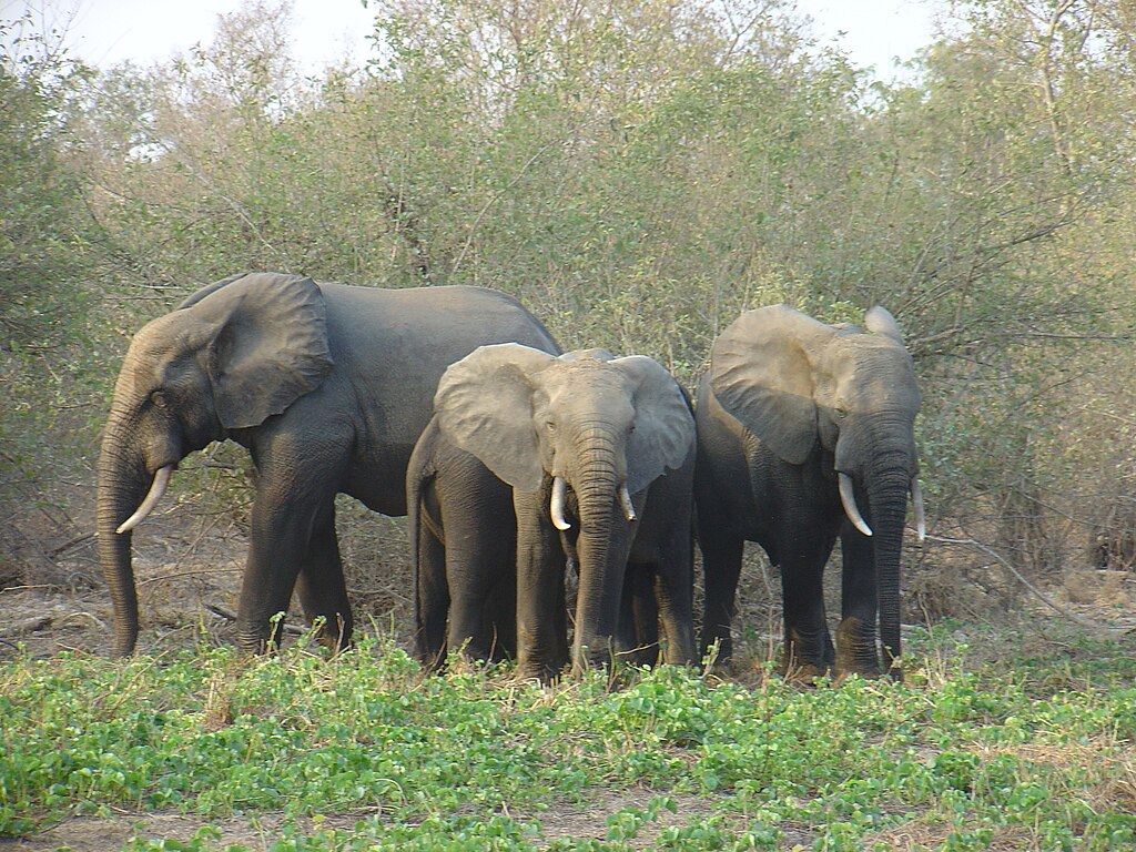 16 Ways to Legally (and Easily) Annoy Your HOA