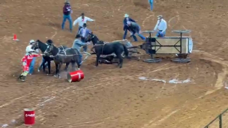 Chuckwagon driver injured after chuckwagon tipped over during race at ...