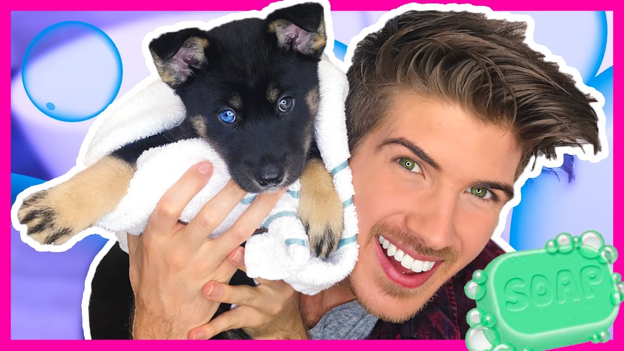 Puppy's first bath