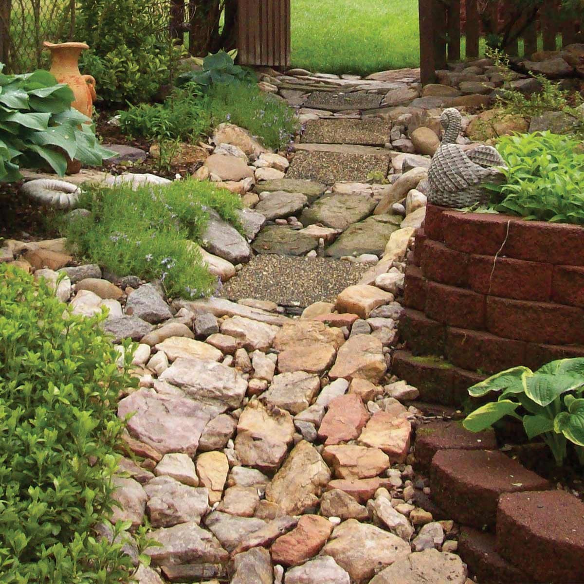 6 Common Lawn Problems and Expert Solutions