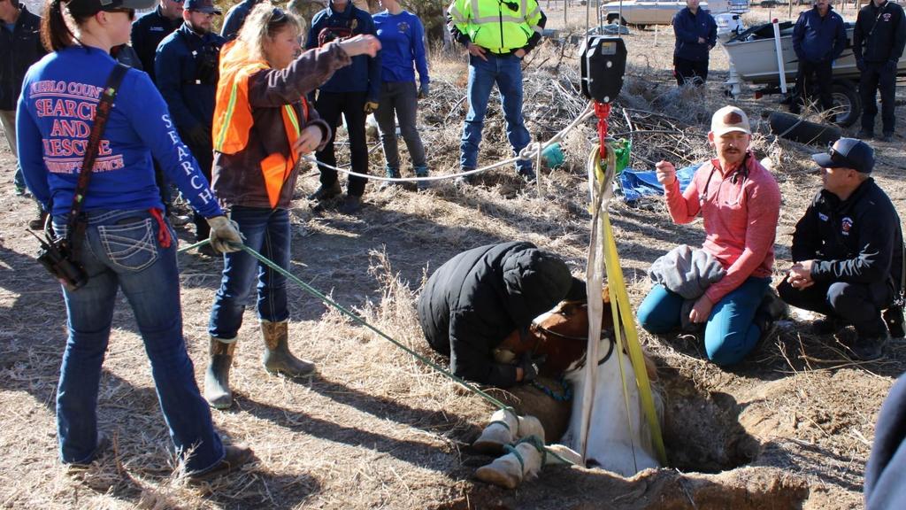 Horse rescued from collapsed septic tank in Pueblo County