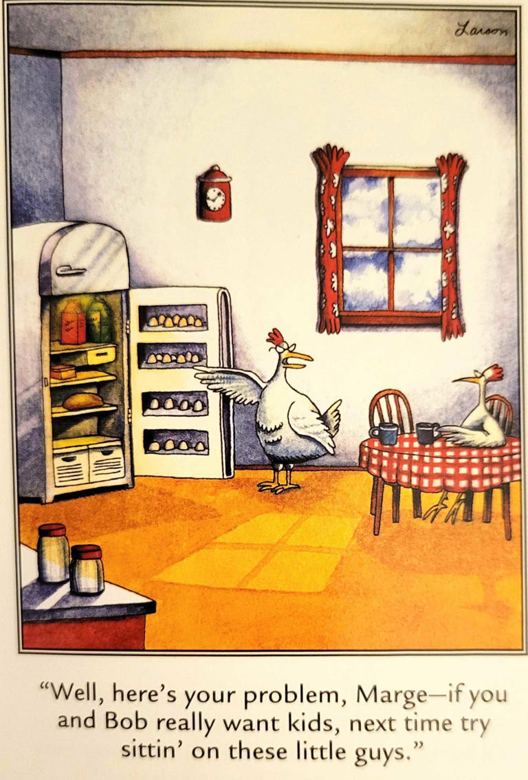 15 Funniest The Far Side Comics Featuring Chickens, Ranked