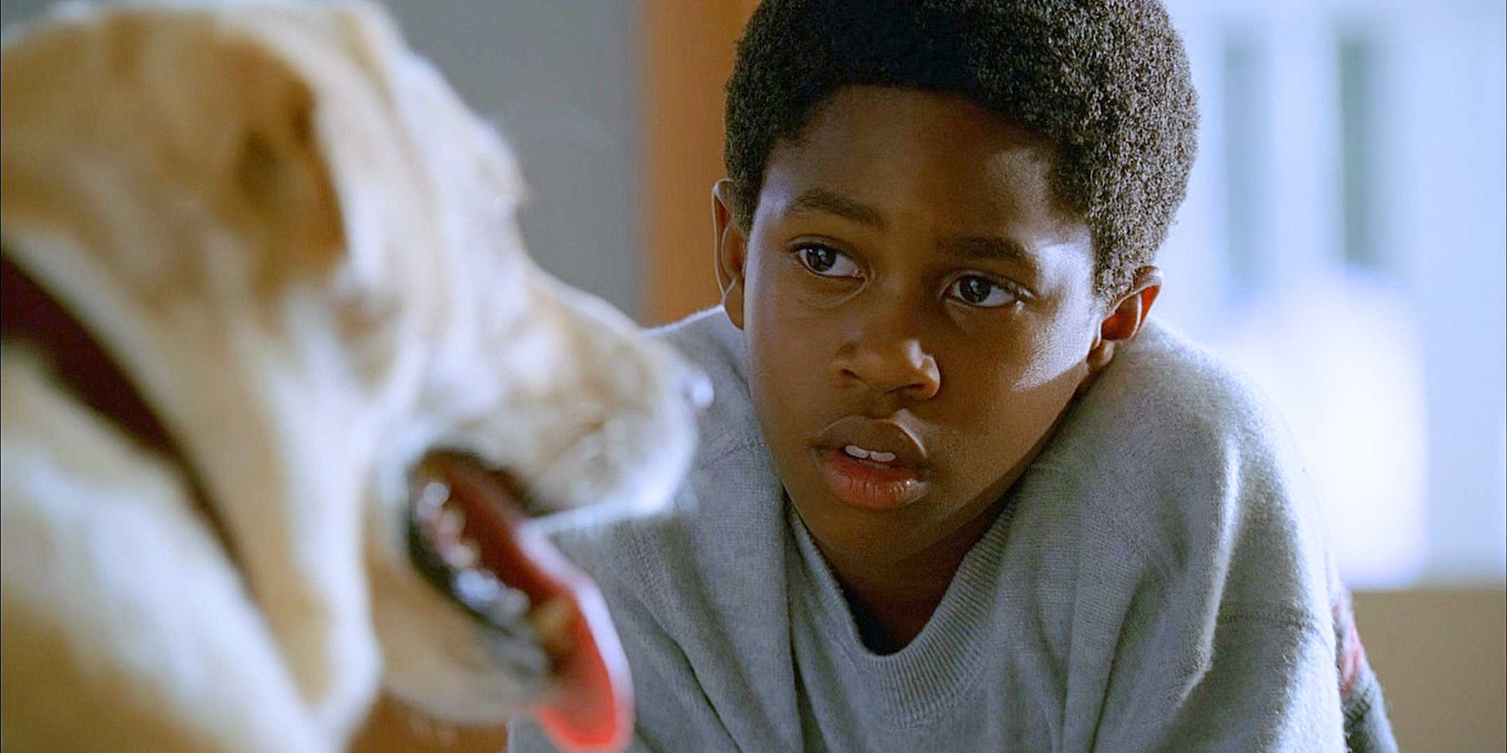 Why Walt Had to Go Back to the Lost Island