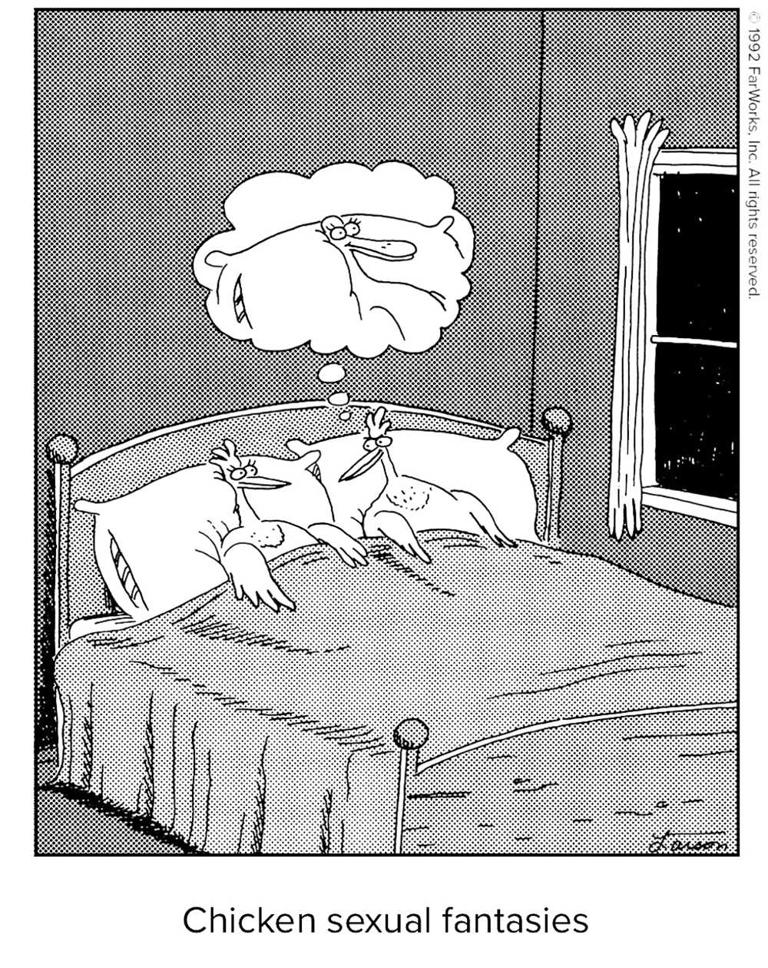 15 Funniest The Far Side Comics Featuring Chickens, Ranked