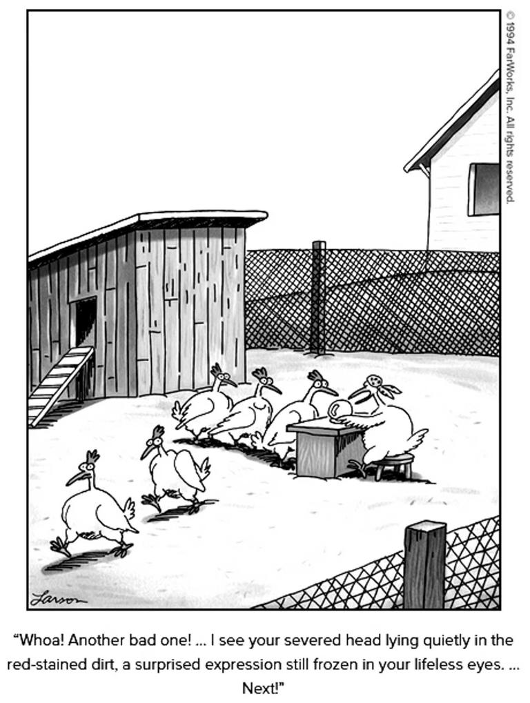 15 Funniest The Far Side Comics Featuring Chickens, Ranked