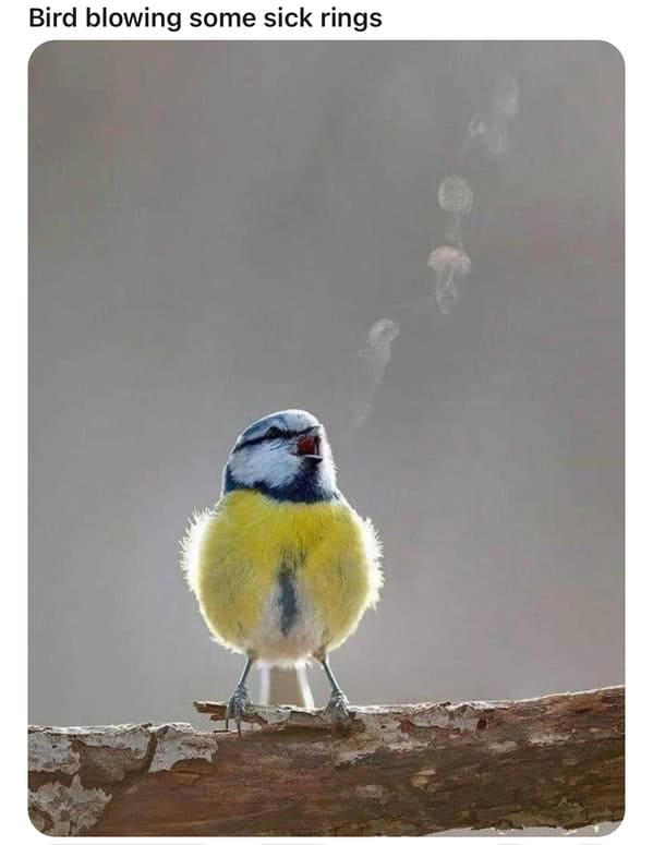 40 Funny And/Or Random Pictures For Your Daily Dose Of Randomness ...