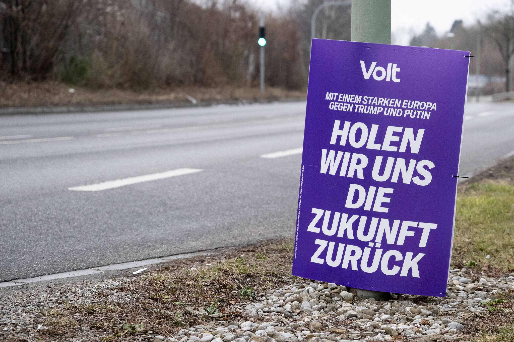 Volt bei der Bundestagswahl 2025: Was ist das für eine Partei?