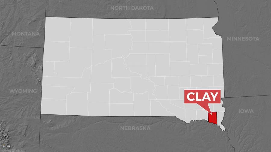 3 animals are dead after a house fire in Vermillion