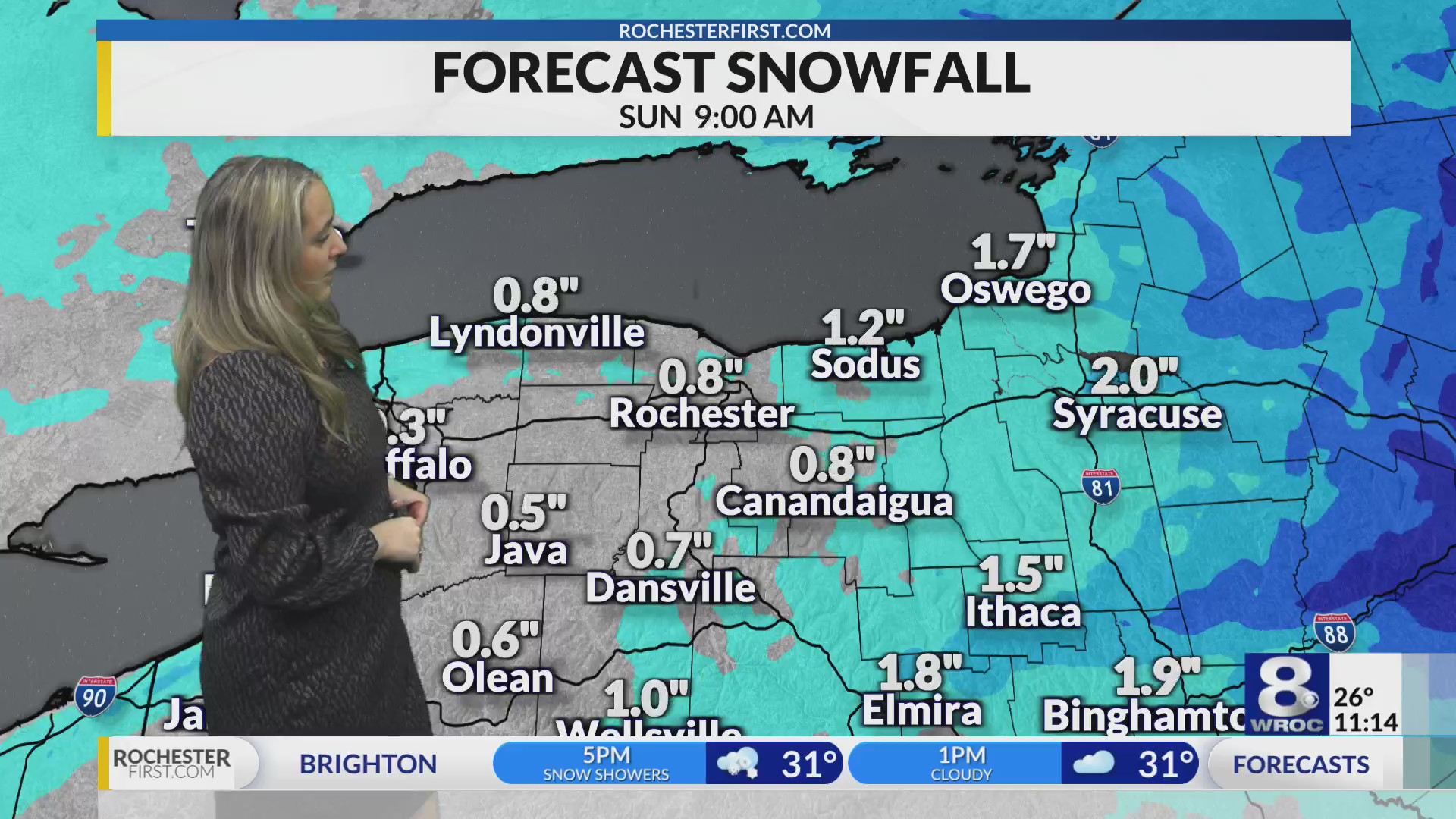Rochester's Saturday Overnight Weather Forecast