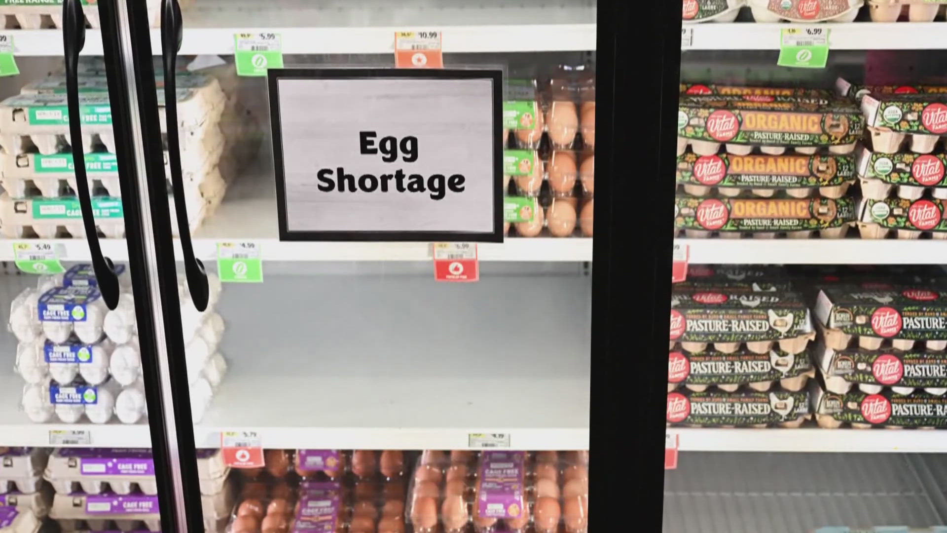 Shortage of eggs is affecting Americans nationwide