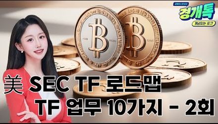 美 SEC TF 로드맵 TF 업무 10가지 - 2회 | 조민재의 '미장센'