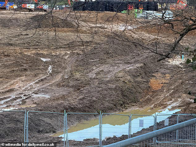 Villagers band together to buy field where 87 homes would be built