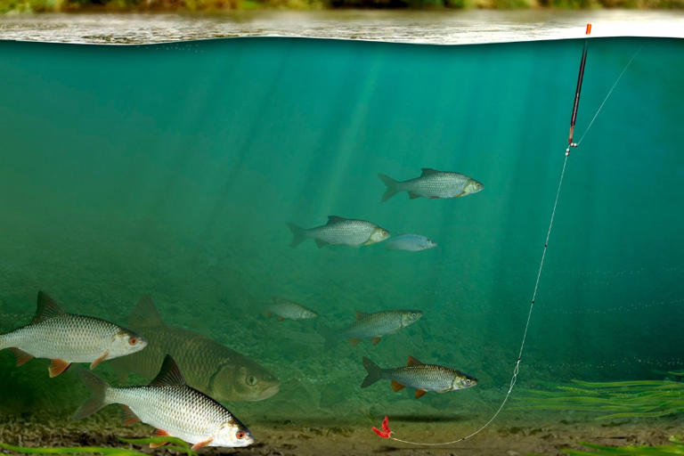 How to set up a rod for float fishing
