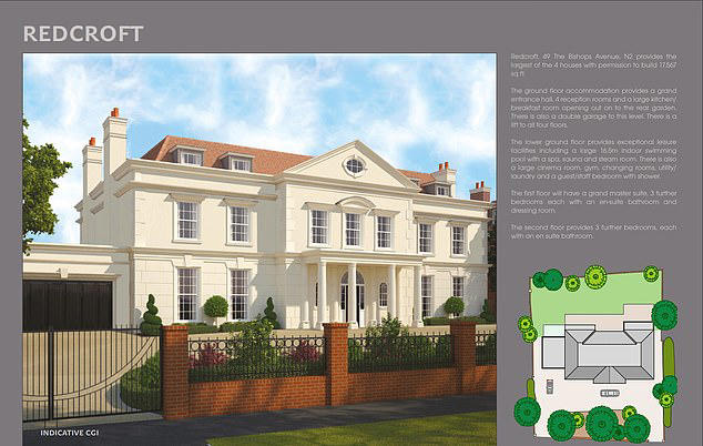 Why 11 empty plots have been left to rot on billionaire's wasteland