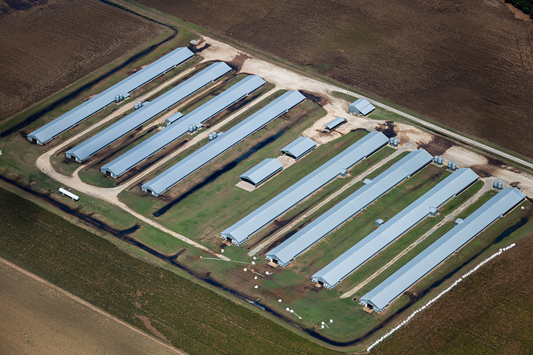 We can see factory farm pollution all the way from space