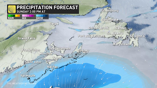 Blizzard conditions across Newfoundland as Nor'easter dumps up to 40 cm ...
