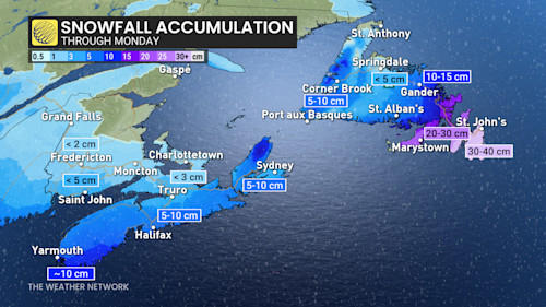 Blizzard conditions across Newfoundland as Nor'easter dumps up to 40 cm ...