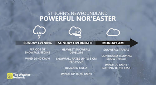 Blizzard conditions across Newfoundland as Nor'easter dumps up to 40 cm ...