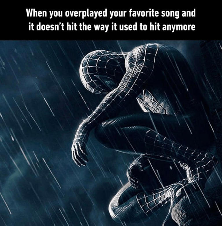 36 Funny Memes About Your Music Taste That Are Relatable To Every Type ...