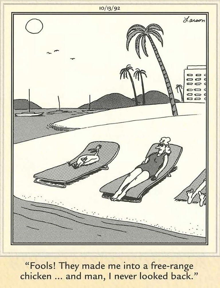 15 Funniest The Far Side Comics Featuring Chickens, Ranked