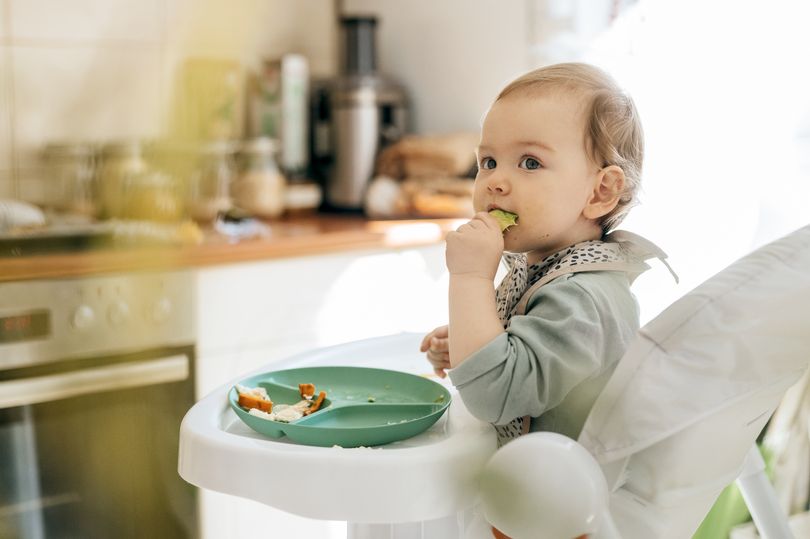 Dietitian issues key advice for parents on 'heatwave eating' for kids