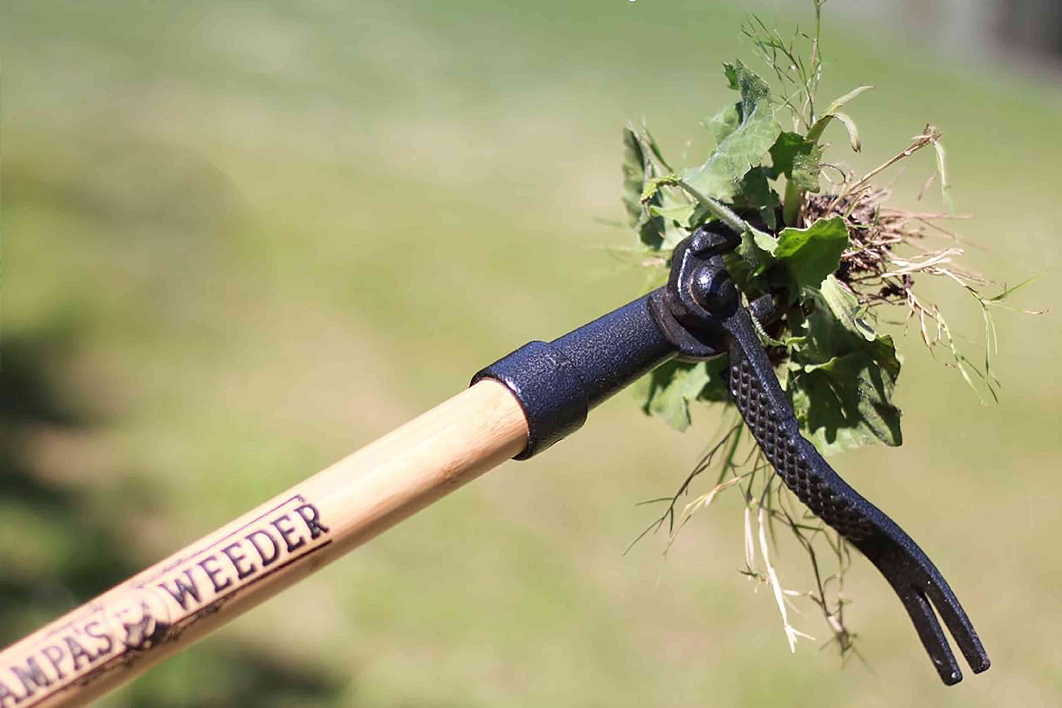 Amazon's Best-Selling Weeder Will ‘Save Your Back and Knees’ This ...