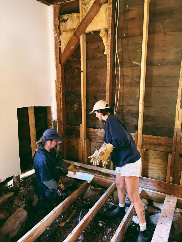 Quick Takes With: Alice Saunders