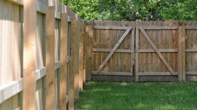 Prevent Common Fence Damage With These Simple Tips