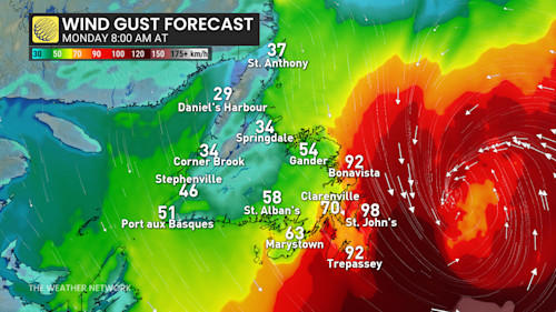 Blizzard conditions across Newfoundland as Nor'easter dumps up to 40 cm ...