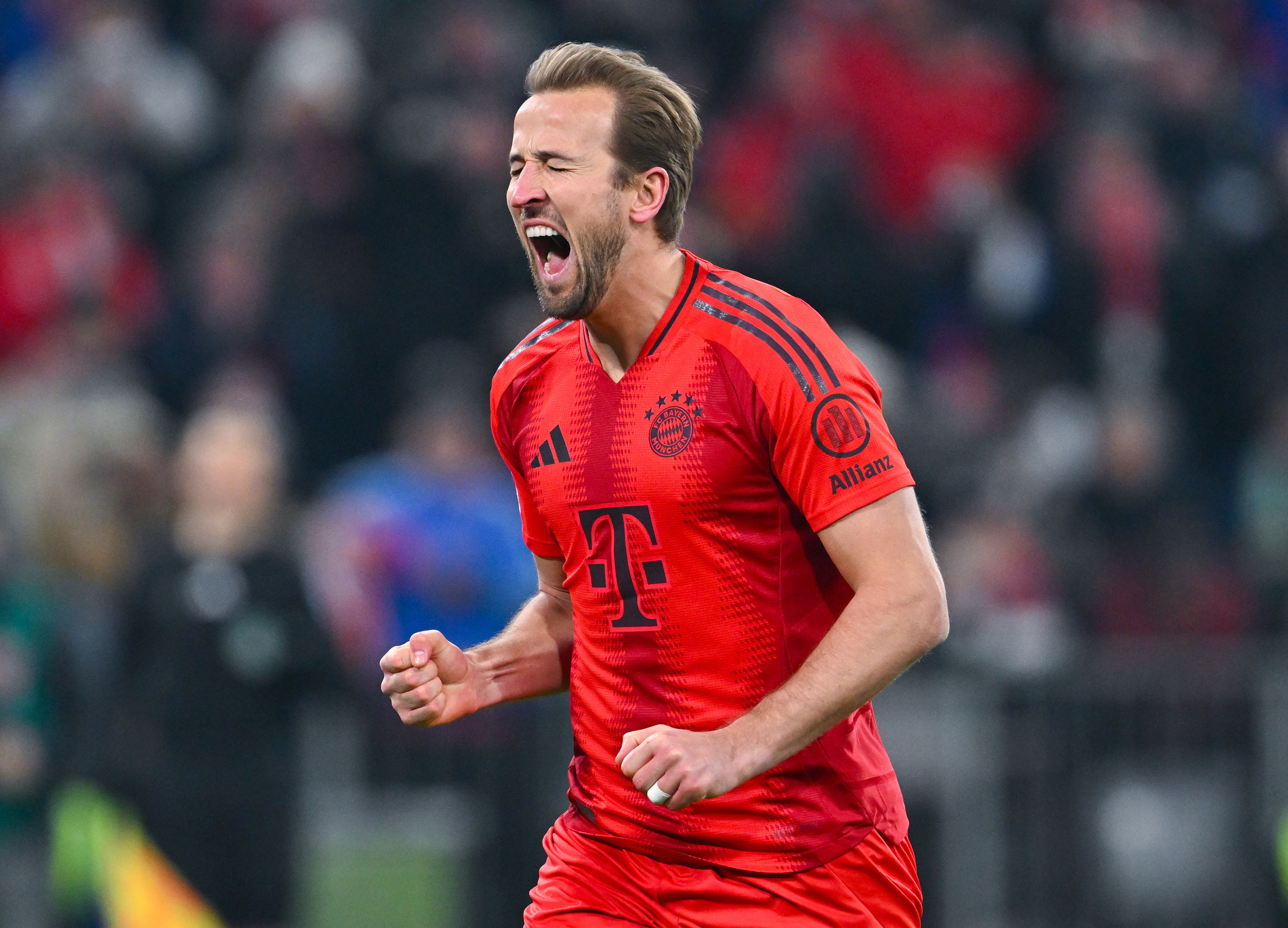 Tottenham icon backed to end his career at the N17