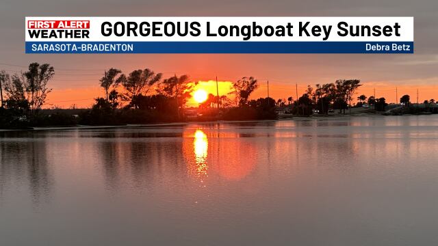 More Sunday Sunshine