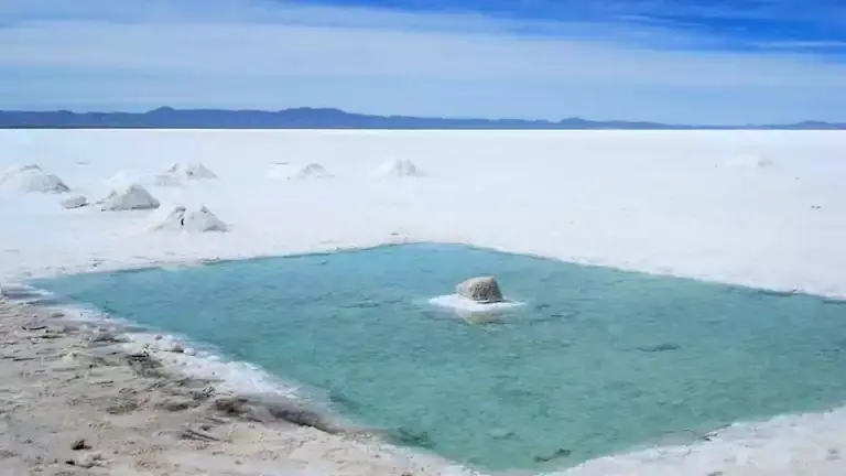 The "True-Ish" Story Behind 'Your Monster,' Explained