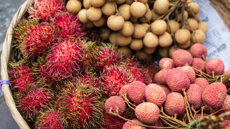 Lychee Vs Rambutan Vs Longan: How Do These Tropical Fruits Compare?