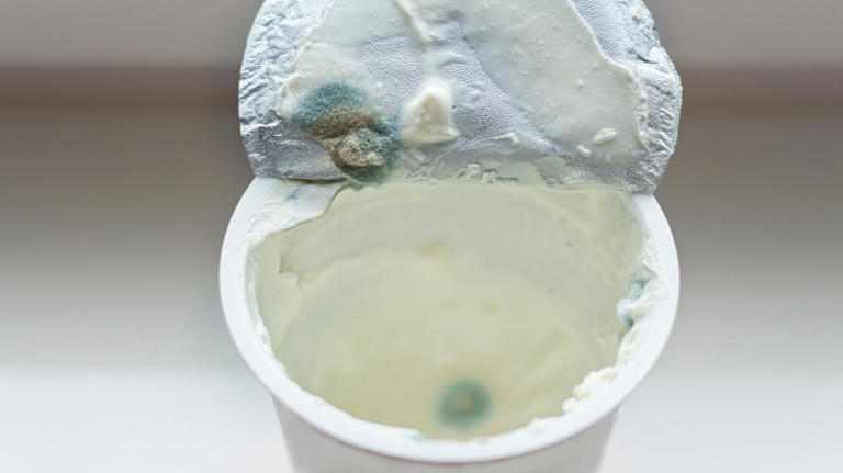 How To Know If Your Sour Cream Is No Longer Safe To Eat
