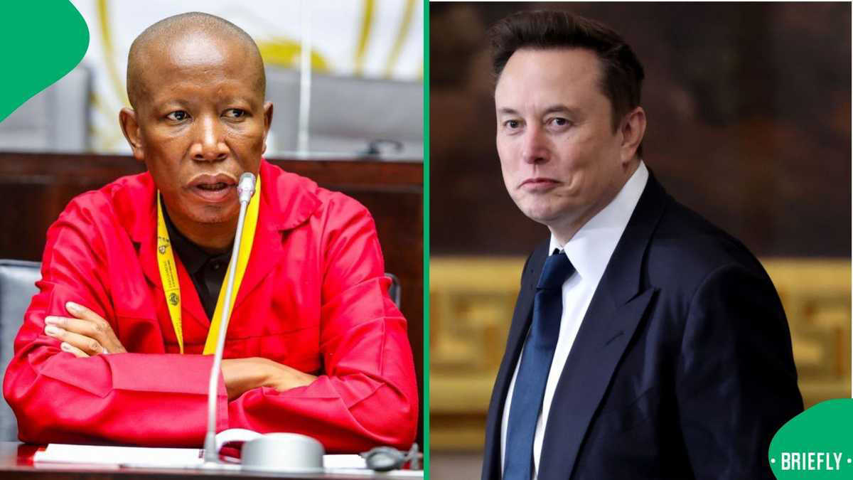 Elon Musk calls Julius Malema a criminal, EFF leader hits back Elon Musk calls Julius Malema a criminal, EFF leader hits back