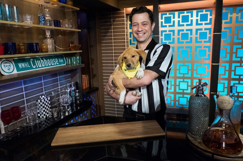 I'm a Puppy Bowl referee and here's how it comes together from choosing ...